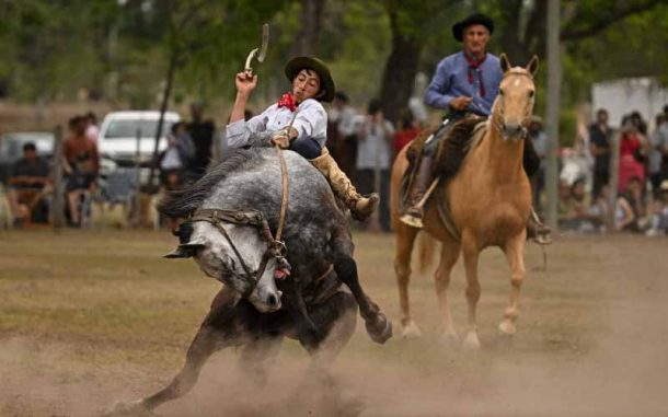 Encefalitis Equina del Oeste: 12 casos en humanos y primer fallecido ... Encefalitis Equina del Oeste: 12 casos en humanos y primer fallecido ...